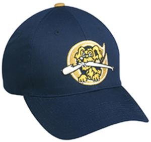 OC Sports MiLB Charleston Riverdogs Baseball Cap - Fan Gear