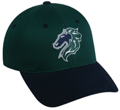 OC Sports MiLB Charlotte Knights Baseball Cap - Closeout Sale - Fan Gear