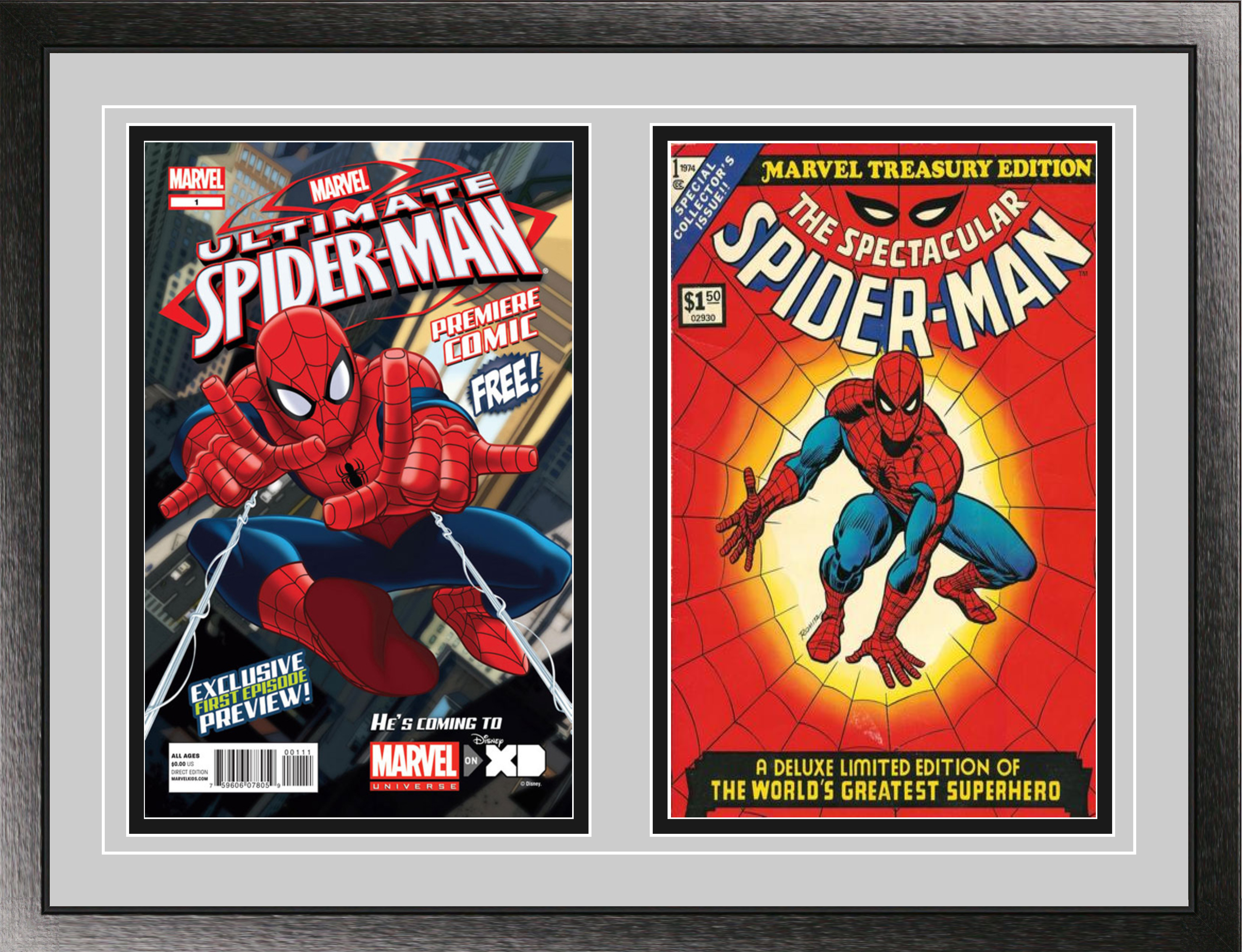 E116430 Perfect Cases Double Comic Book Frame W/Moulding