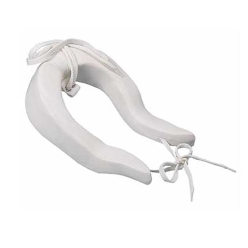 Markwort Football Flat Style Neck Rolls - Football Equipment and Gear