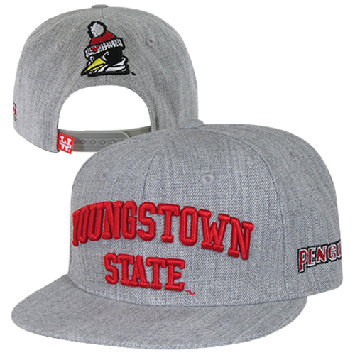 Youngstown State University Game Day Snapback Cap - Fan Gear