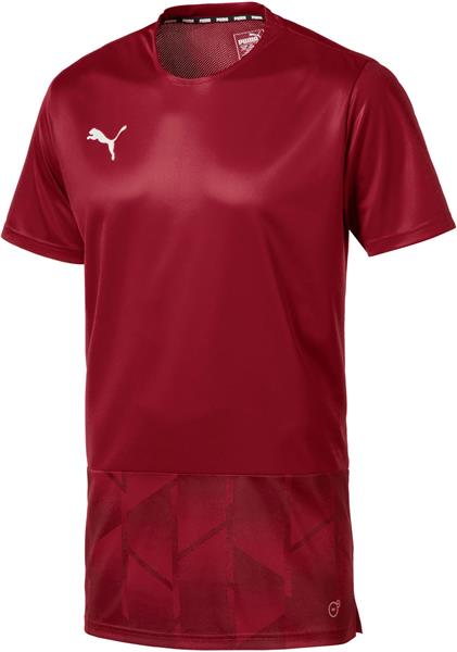Puma Mens ftblNXT Graphic Shirt - Soccer Equipment and Gear