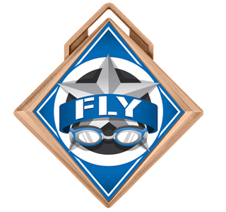 Hasty Award G-Force 3" Medal Custom All -Star Butterfly - Swimming ...