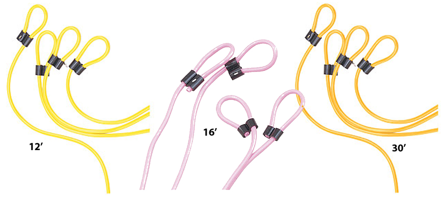 E15012 Champion Double Dutch Licorice Speed Jump Ropes