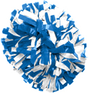 Teamwork Universal Cheer Pom Pons - Closeout Sale - Cheerleading ...