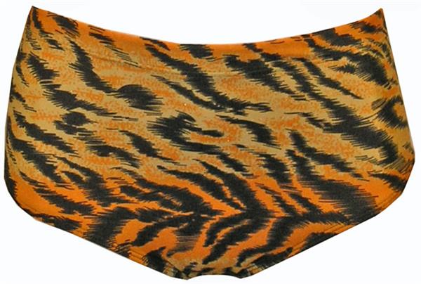 Pizzazz Cheer Body Basics Animal Print Brief - Cheerleading Equipment ...