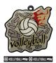 Molten Gold trophy award volleyballs MTV5SL - Volleyball Equipment and Gear