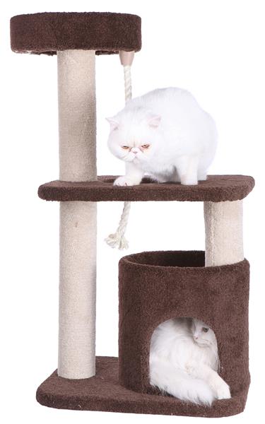 Armarkat 3-Tier Carpeted Real Wood Cat Tree Condo F3703 Kitten Activity ...