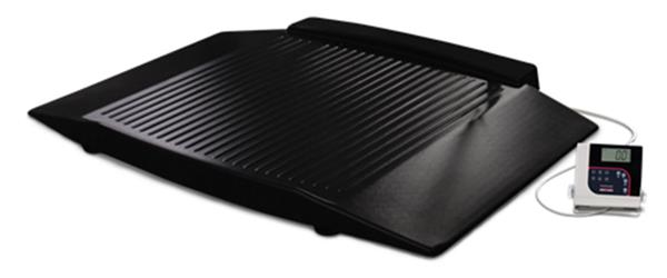 Rice Lake VS-31 Dual Ramp Veterinary Scale - Soccer Equipment and Gear