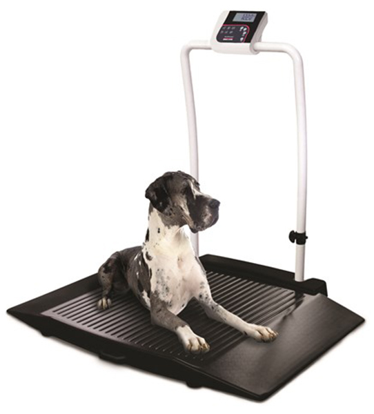 Rice Lake VS-35 Dual-ramp Veterinary Pets Scale With Handrail Scale ...
