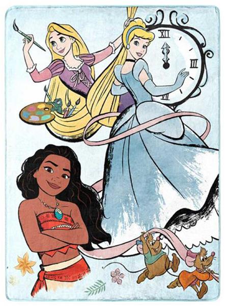 Northwest Disney Princesses, Powder Blue Silk Touch Throw - Soccer ...