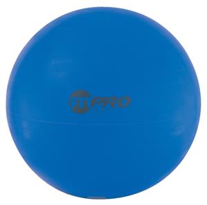 Champion Fitpro Training & Exercise 37.5" Ball - Playground Equipment ...