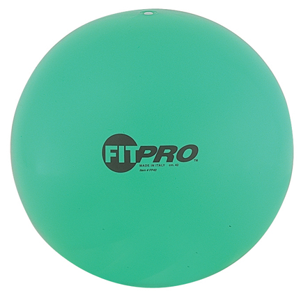 Champion Fitpro Training & Exercise 16.5" Ball - Playground Equipment ...