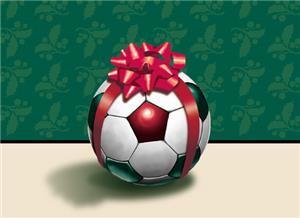 Gift Wrapped Soccer Ball Greeting Cards - Soccer Equipment and Gear