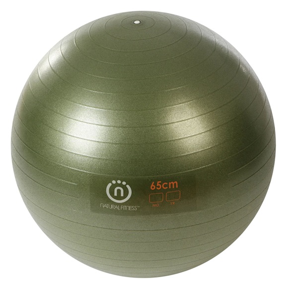 PRO Burst Resistant Exercise Ball - Playground Equipment and Gear