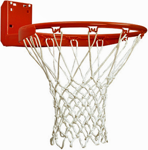 Bison Rear Mount Basketball Super Goal - Playground Equipment and Gear