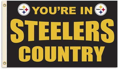 NFL You're in Steelers Country 3' x 5' Flag - Fan Gear