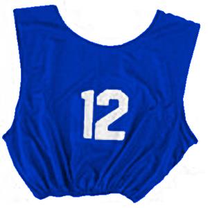 Champion Numbered Heavyweight Pinnies (DOZENS) - Soccer Equipment and Gear