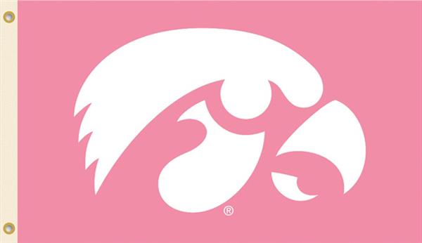 COLLEGIATE Iowa PINK 3' x 5' Flag - Fan Gear