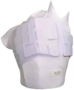 WSI Sports Heart and Kidney Protector - Football Equipment and Gear