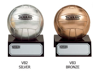 Tachikara Mini metallic trophy volleyball w/stand - Volleyball ...