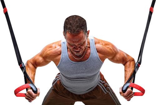 Jungle Gym XT Strap Xtruders and/or Wall Mount - Bodybuilding and ...