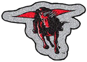 Fan Mats Texas Tech University Mascot Mat - Fan Gear