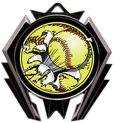 Hasty Stealth Medal Softball Bust-Out Insert - Baseball Equipment & Gear
