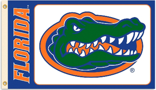 BSI COLLEGIATE Florida Gators 3' x 5' Flag - Fan Gear