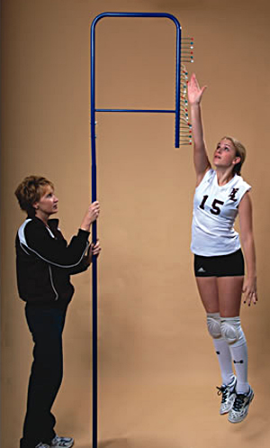 Volleyball Training Aid The Jumper TJ612 - Volleyball Equipment and Gear