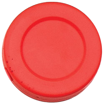 Champion Sports Hollow Plastic Hockey Puck - Playground Equipment and Gear