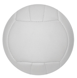 Baden Mini 5.5" White Autograph Volleyball - Closeout Sale - Volleyball ...