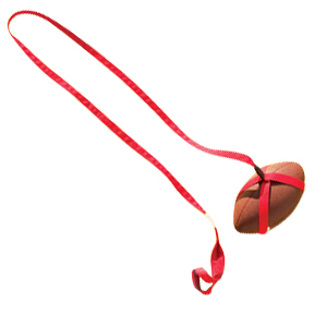 E25429 Fisher Tug-A-Ball Football Training Straps